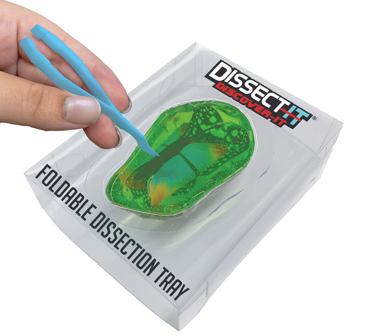 Discover-It Butterfly Metamorphosis Lab – Top Secret Toys